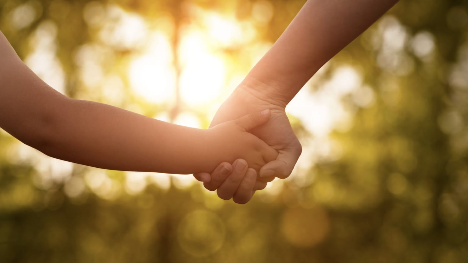 Reproductive Options for Transgender Individuals > Fact Sheets > Yale ...
