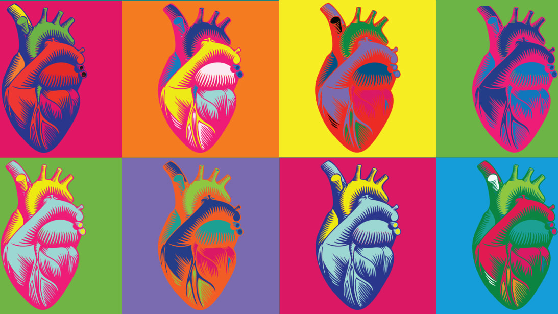 Echocardiogram > Fact Sheets > Yale Medicine