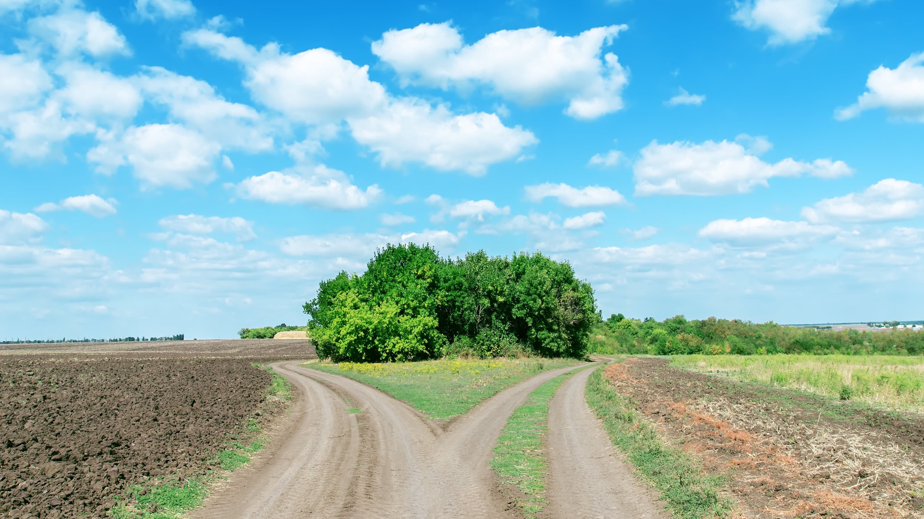 Emergency Use Authorization Vs. Full FDA Approval: What’s the ...