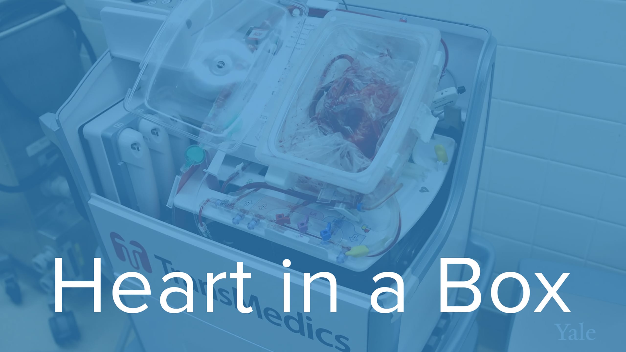 Surgery > Departments > Yale Medicine