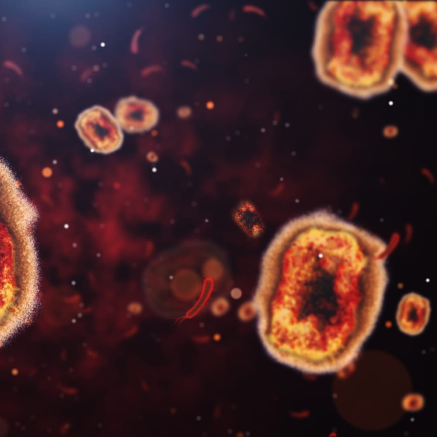 smallpox bacteria name