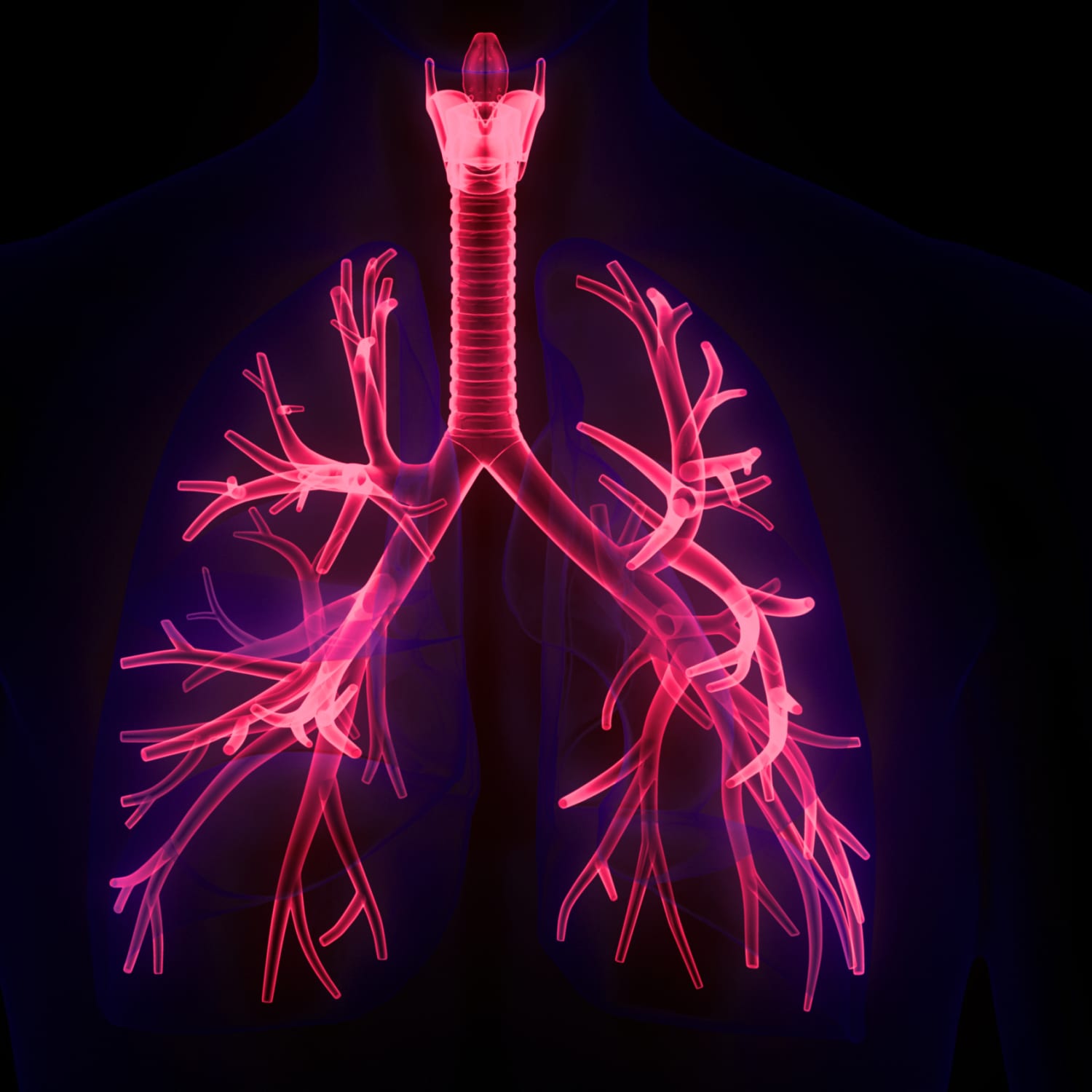 bronchoscopy biopsy risks