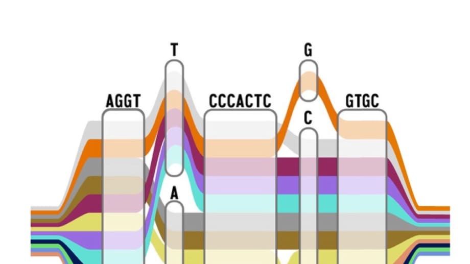 human genome sciences yale