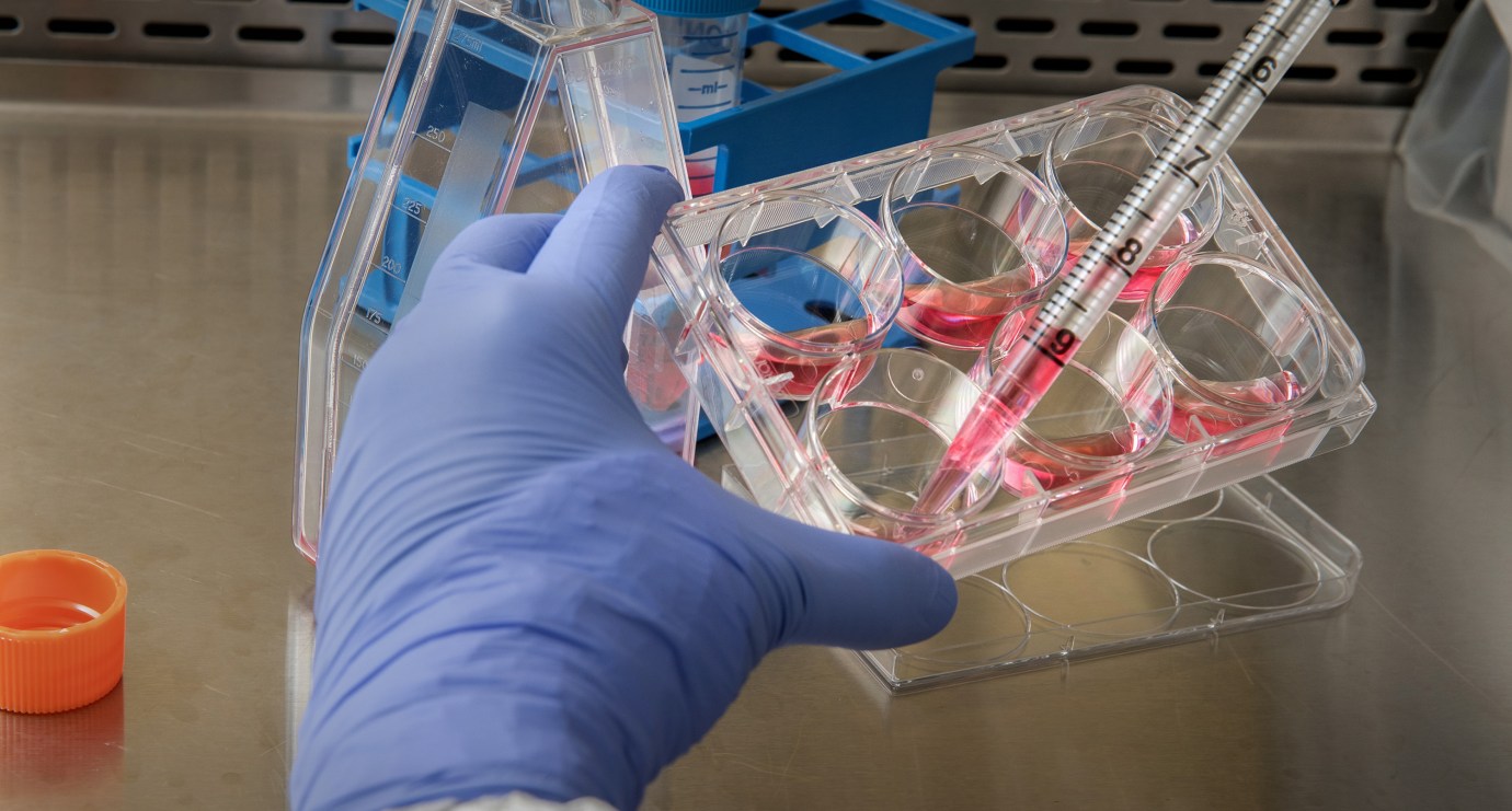 Department of Laboratory Medicine