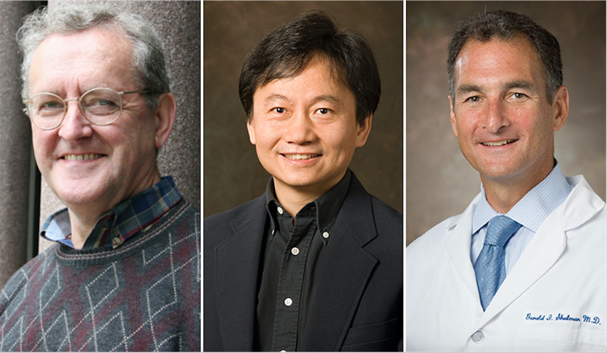 Three Yale faculty elected members of American Academy of Arts and Sciences