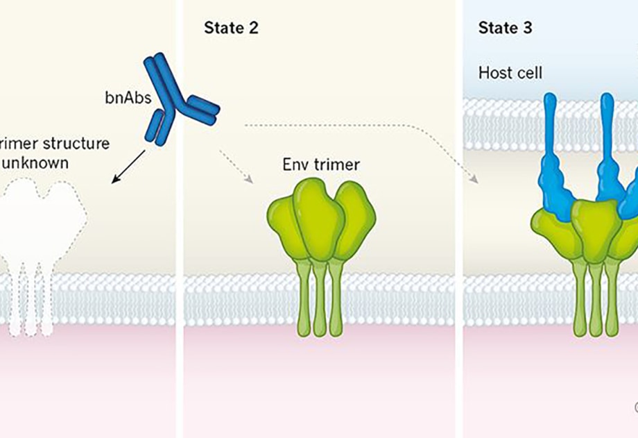 Microbial Pathogenesis