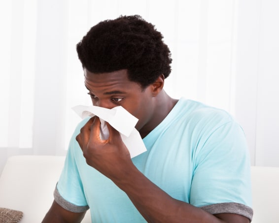 Colds: How to Prevent Them > Fact Sheets > Yale Medicine