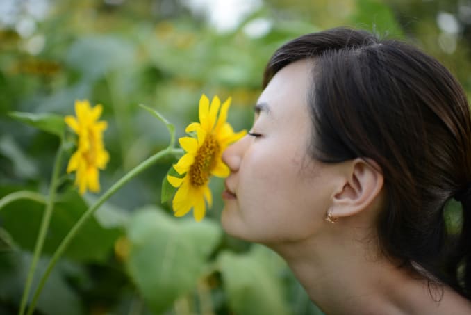 Loss of Smell (Anosmia) | Fact Sheets | Yale Medicine