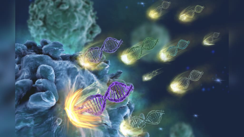 Yale Scientists Enable Massively Parallel DNA Insertions Into Human Cells
