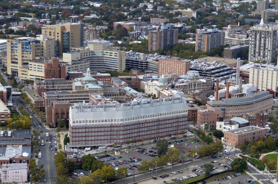 Faculty Affairs Department Teams | Yale School of Medicine