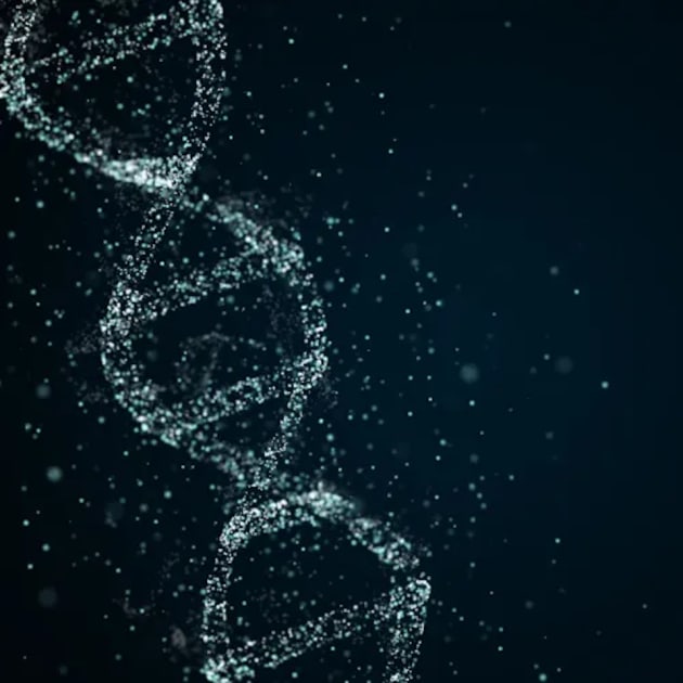 Large NIH Grant Supports CRISPR-based Gene Therapy Development for ...