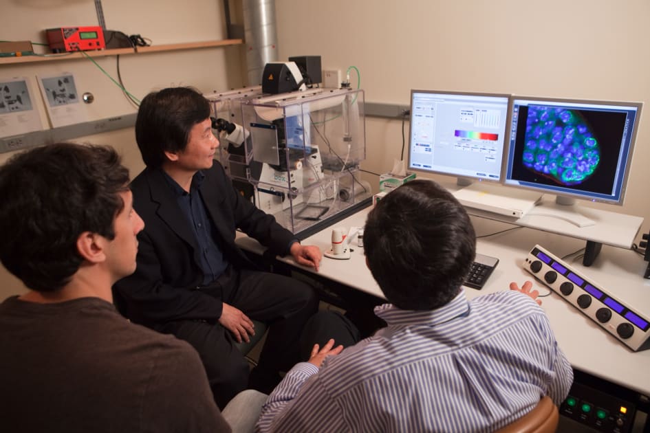 Cell Imaging Core | Yale Stem Cell Center