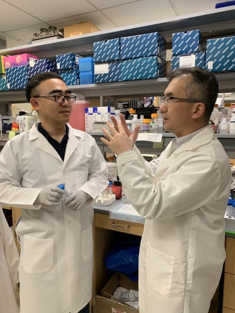 Dr. Lei Zhang honored with American Cancer Society Postdoctoral ...