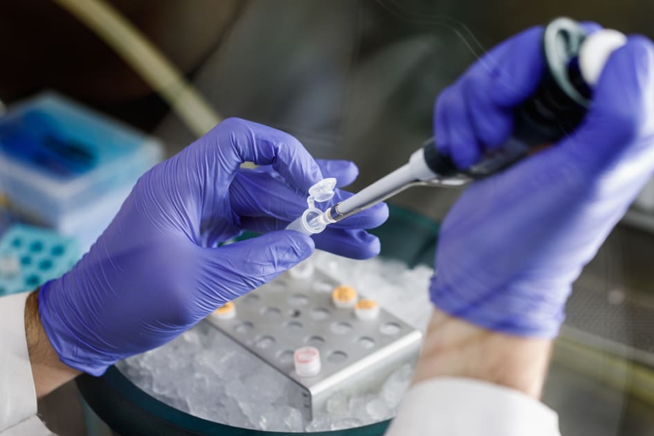 YSM Laboratory Research Continuity Guidance