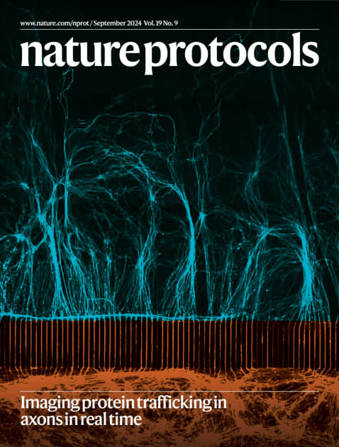 Cover of September's Nature Protocols featuring work by MD-PhD trainees ...