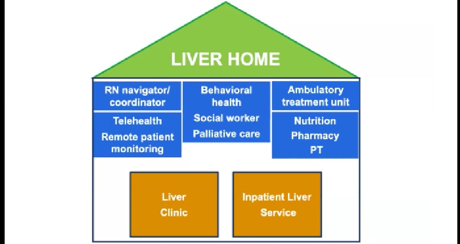 ‘Liver Home’ – A Multidisciplinary Program for Patients with Advanced ...