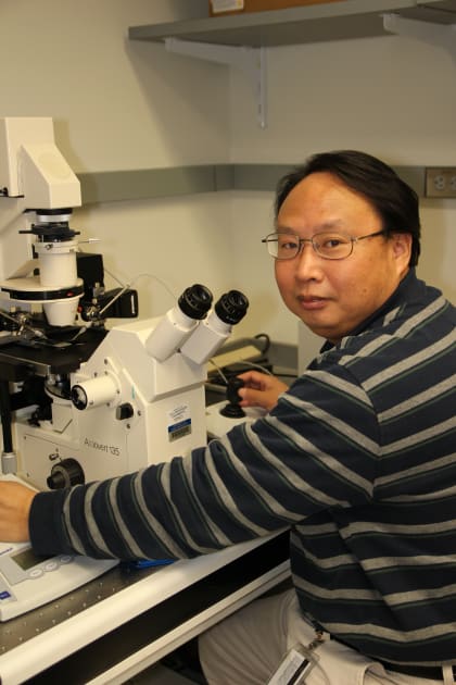 Xiaojun Xing | Yale School of Medicine