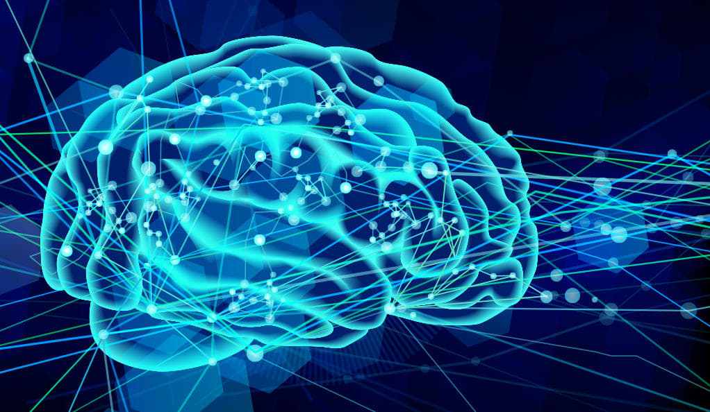 Yale launches five-year study of origins of autism