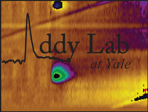 Welcome to the Addy Lab!