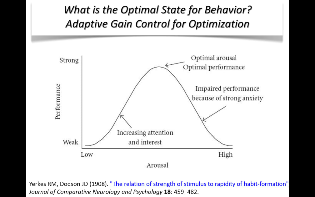 arousal and task performance