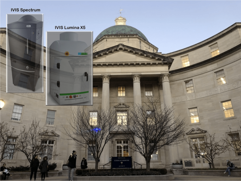 Small Animal Imaging