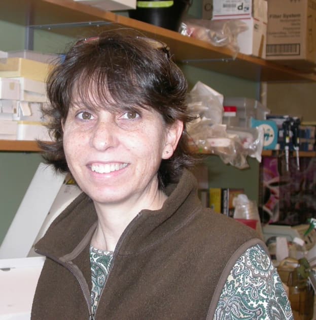 Betty R. Lawton, PhD | Yale School of Medicine