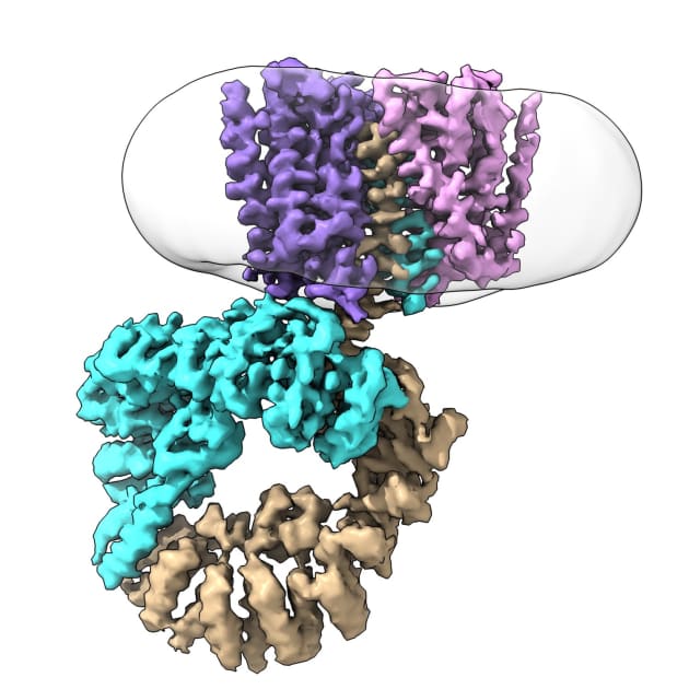 The Wei Mi Lab | The Mi Lab