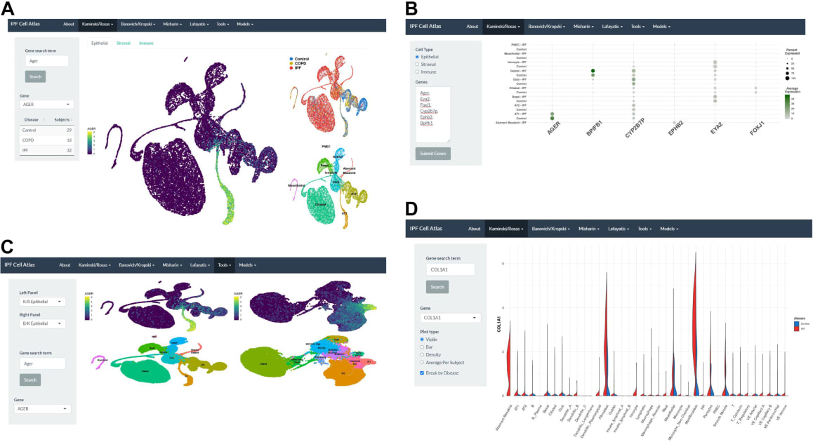 Lung Disease Cell Atlas Websites | The Kaminski Lab