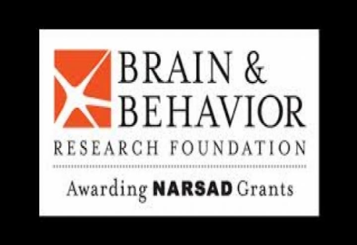 Twelve Yale affiliates win Brain & Behavior Research Foundation grants