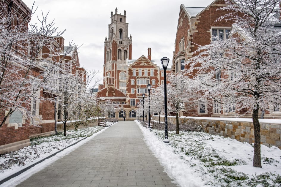 Student Mental Health & Wellness Program