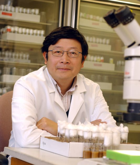 Tian Xu, PhD Tian Xu, PhD