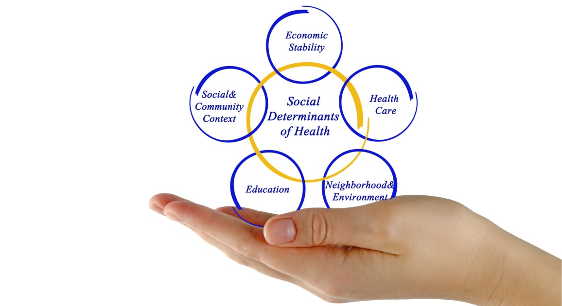 EMD Research - Marginalized Population Health Equity | Yale School of ...