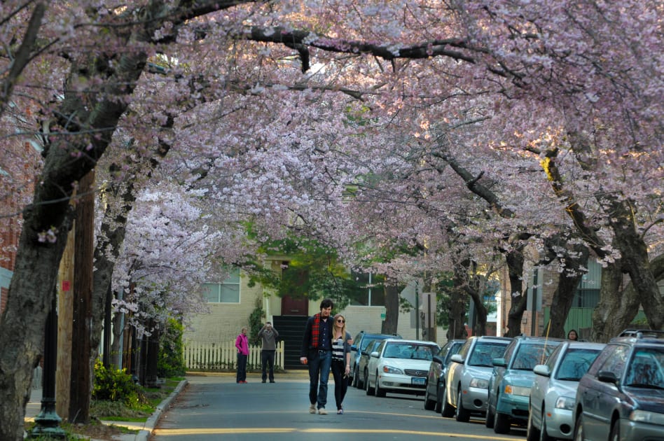YSPH Student Life in New Haven | Yale School of Public Health