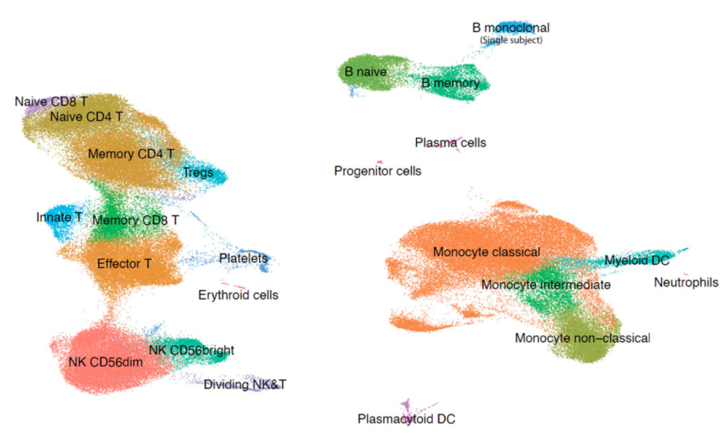 Single-Cell Profiling Reveals Insights About Immunity in Idiopathic ... Single-Cell Profiling Reveals Insights About Immunity in Idiopathic ...