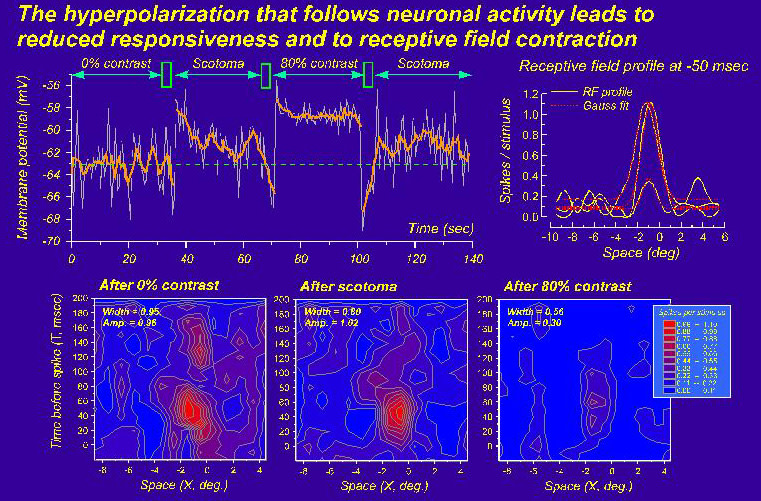 Slide 24 | McCormick Lab
