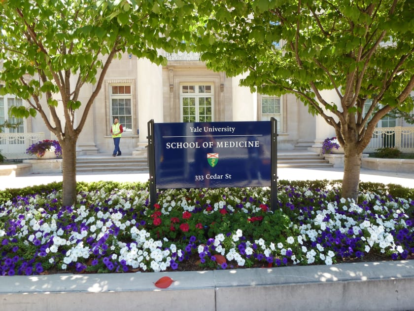 About Immunobiology at Yale