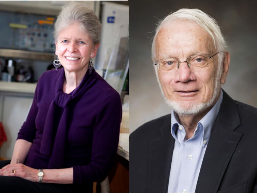 Joan and Tom Steitz RNA Fellows Program Winners Announced
