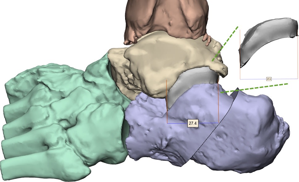 3D Collaborative for Medical Innovation (3DC)