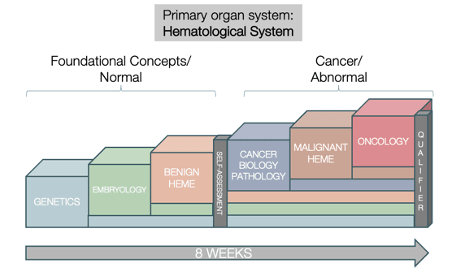 human genetics course