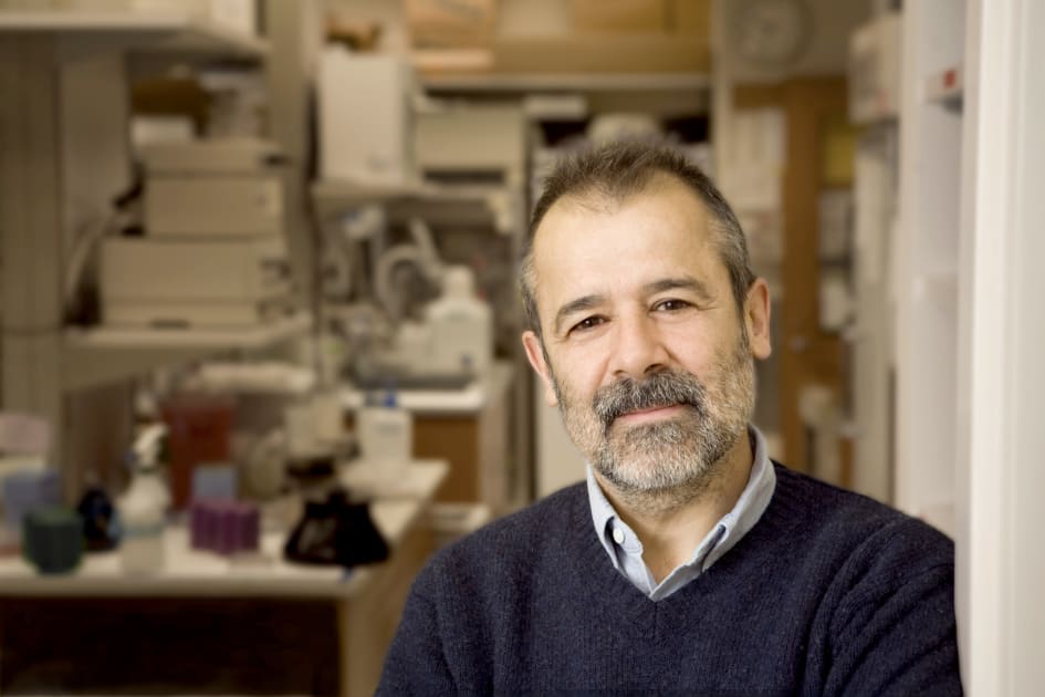 Galán Elected to American Academy of Arts and Sciences | Yale School of ...