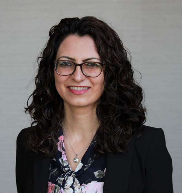 Bassir Nia Receives National Institute on Drug Abuse Grant | Yale ...