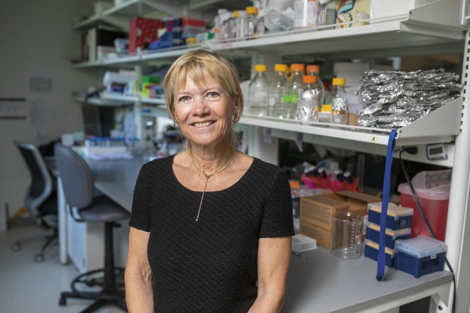 Yale Ventures opens doors to entrepreneurship