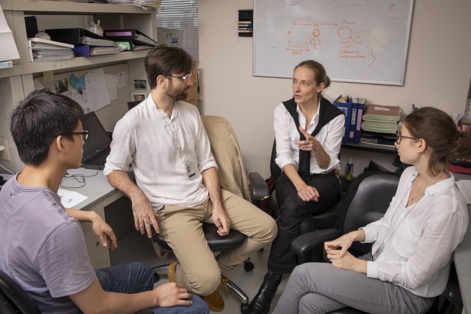 Faculty Support | Internal Medicine