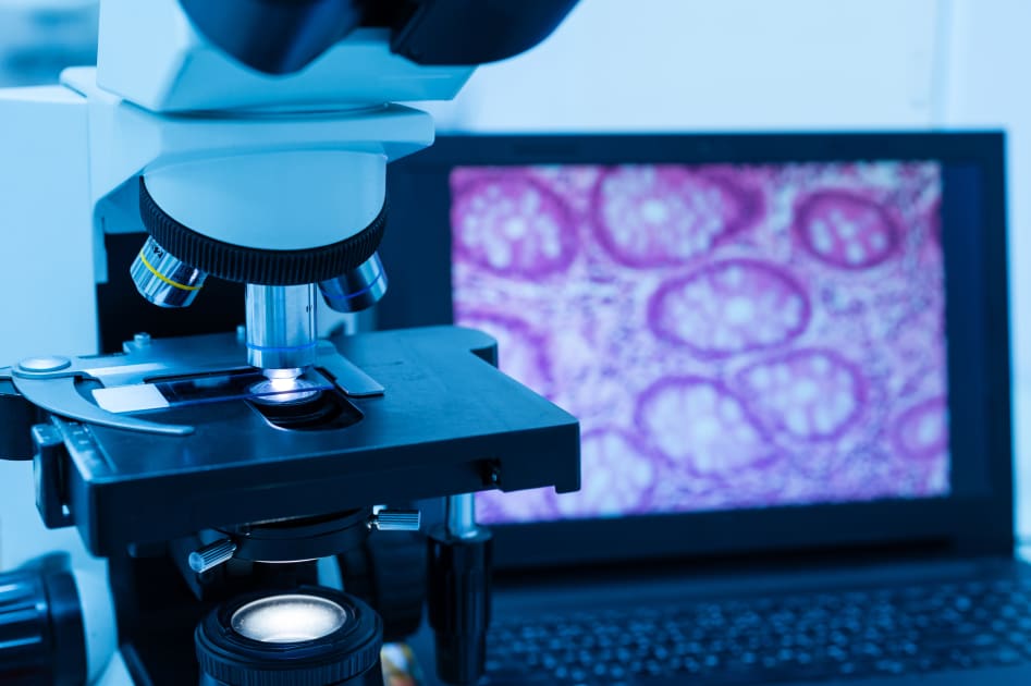 YNHHS Moves Beyond the Microscope With Digital Pathology