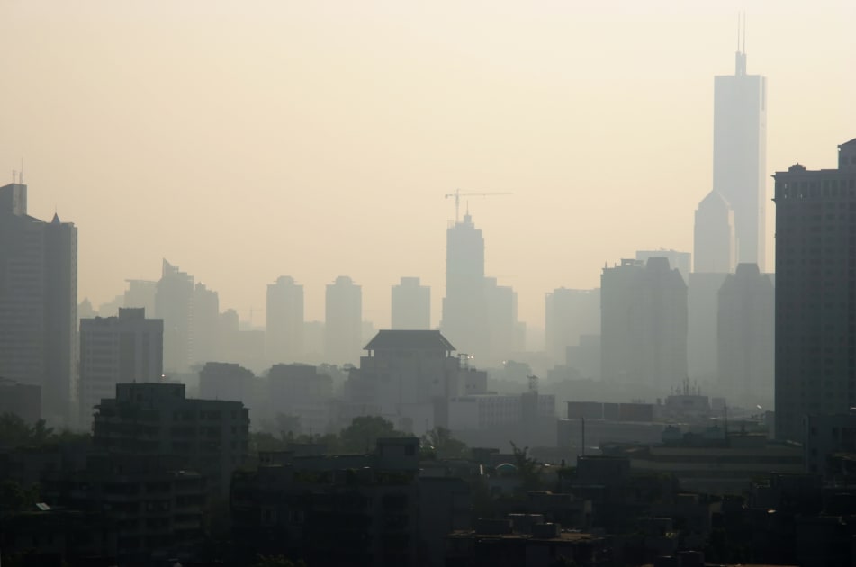 Toxins in the Environment | Yale School of Public Health