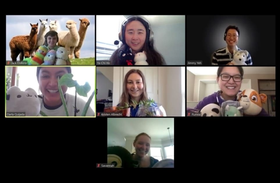 Team members in the research lab of Dr. Ya-Chi Ho work to stay connected during COVID-19