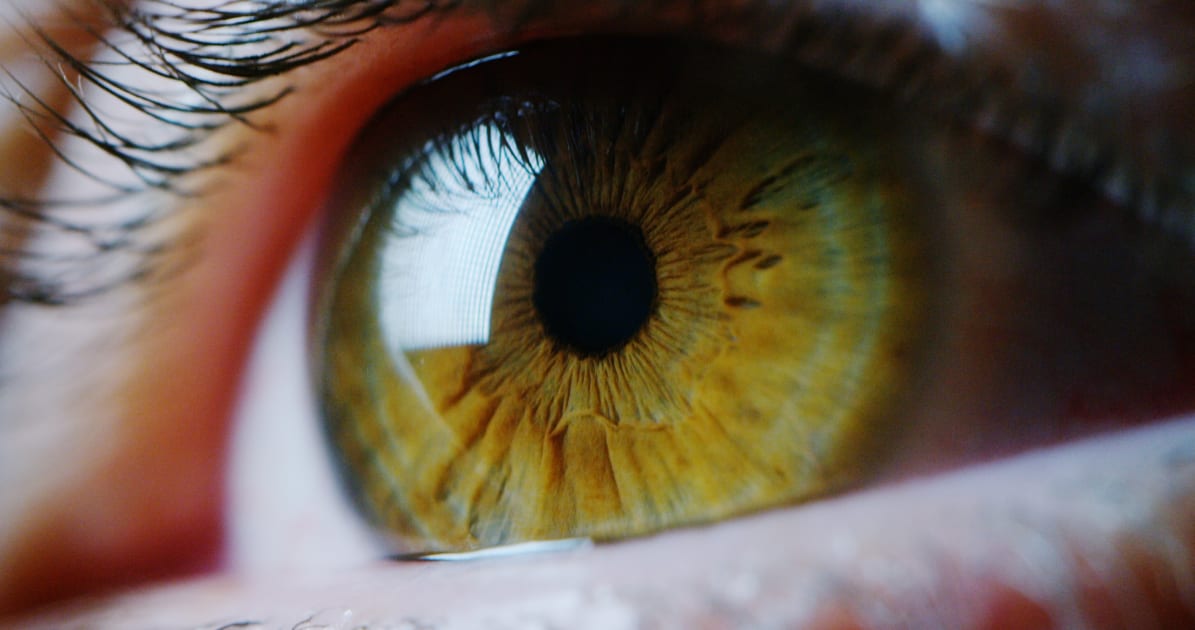 Is Eye Movement in Autism Tied to Facial Recognition? | Yale School of ...