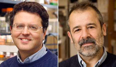 Two Yale faculty elected to the National Academy of Sciences