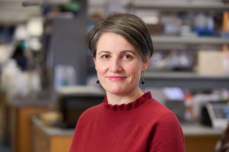 Nicoli receives 2022 AHA Established Investigator Award