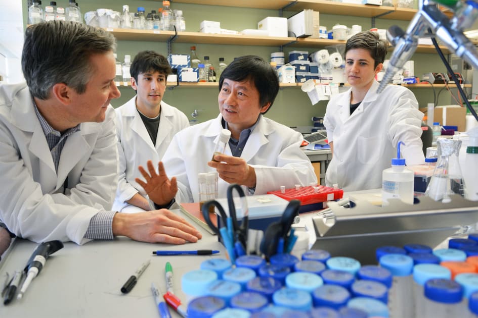 Yale Stem Cell Center | Yale Stem Cell Center